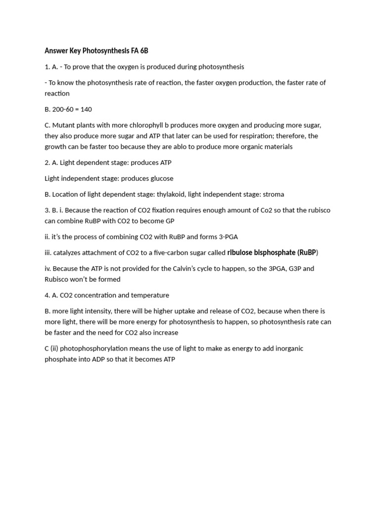Answer Key Photosynthesis FA 6A | PDF