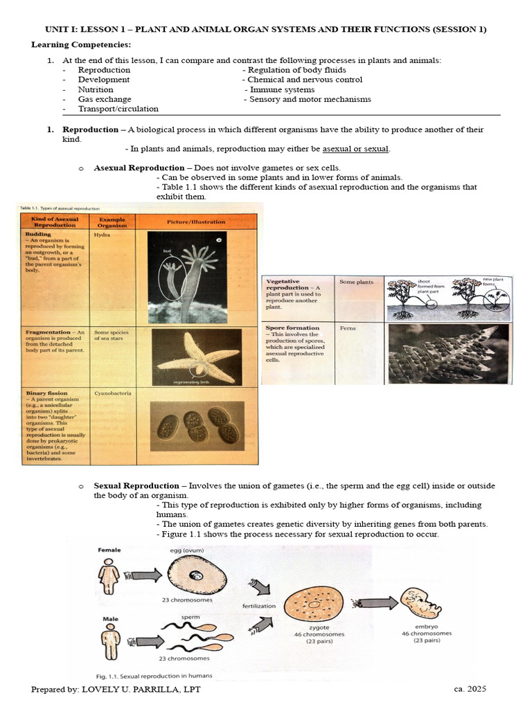 Plant and Animal Organ Systems Overview | PDF | Reproduction | Nutrition