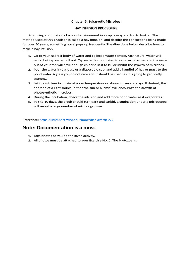 Chapter 5 Protozoa Hay Infusion | PDF