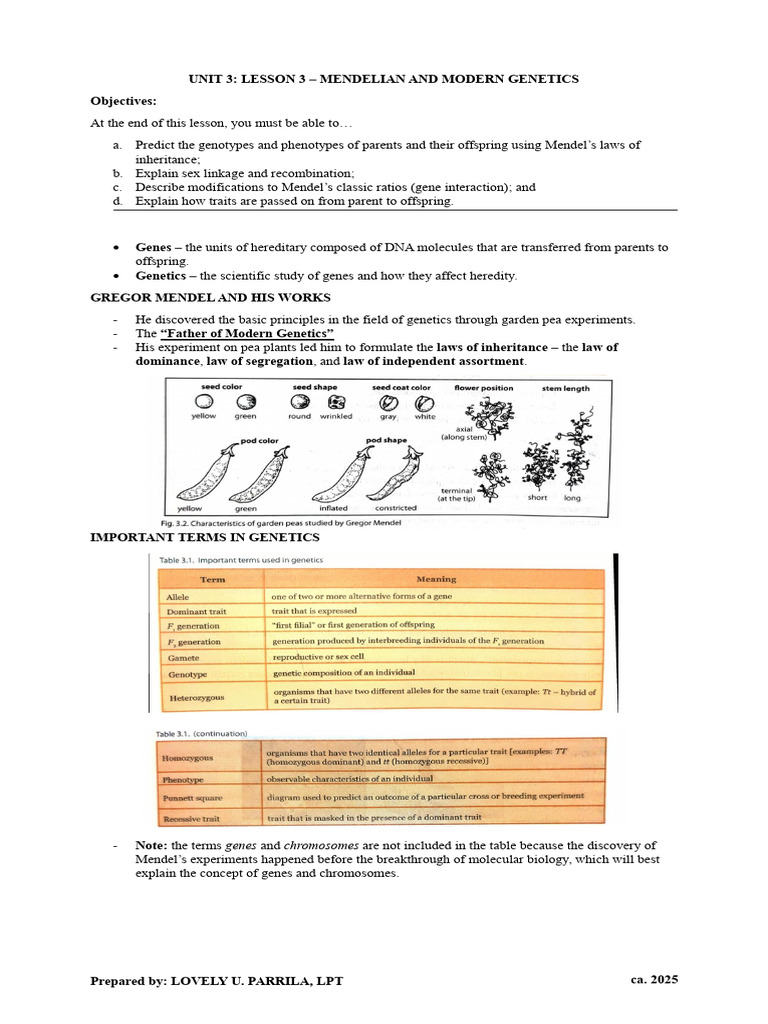 Mendelian Genetics: Inheritance Laws Explained | PDF | Dominance ...