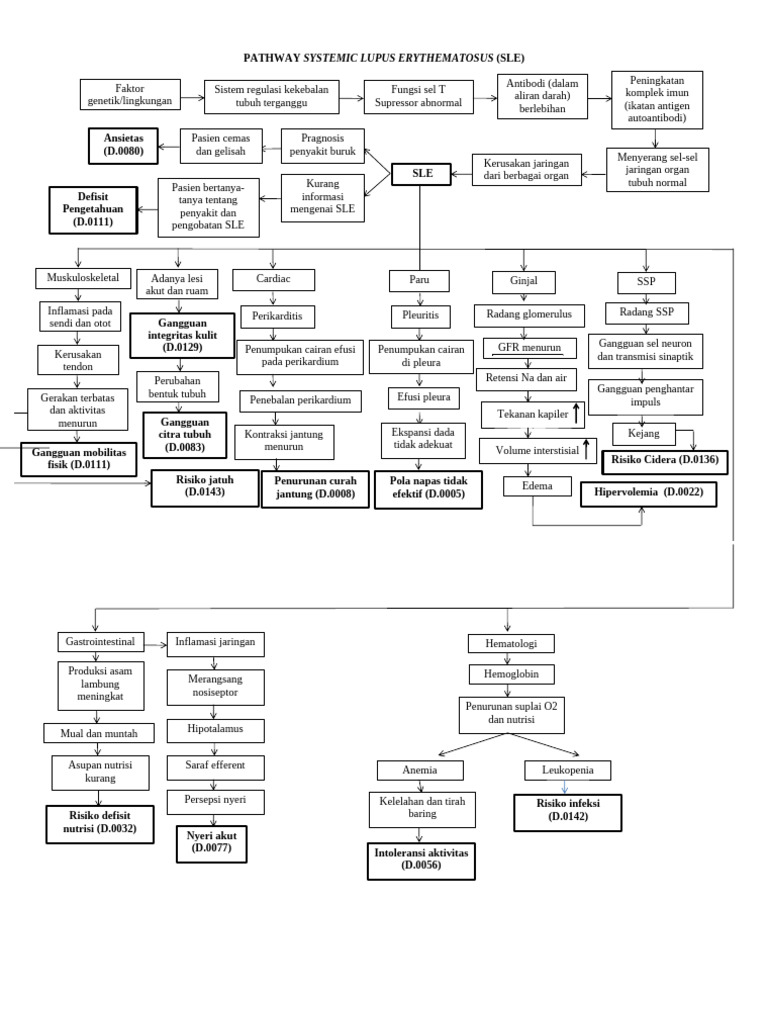 Pathway Systemic Lupus Erythematosus | PDF