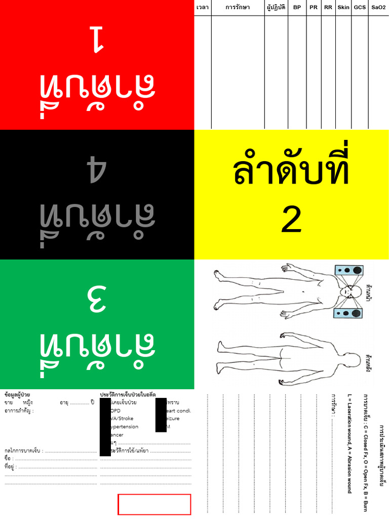 Triage Tag A4 | PDF