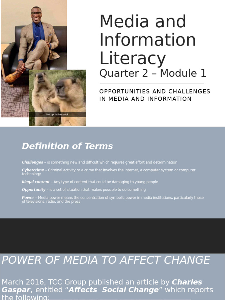 Media and Information Literacy Goofy Ahh Report REMASTERED | PDF ...