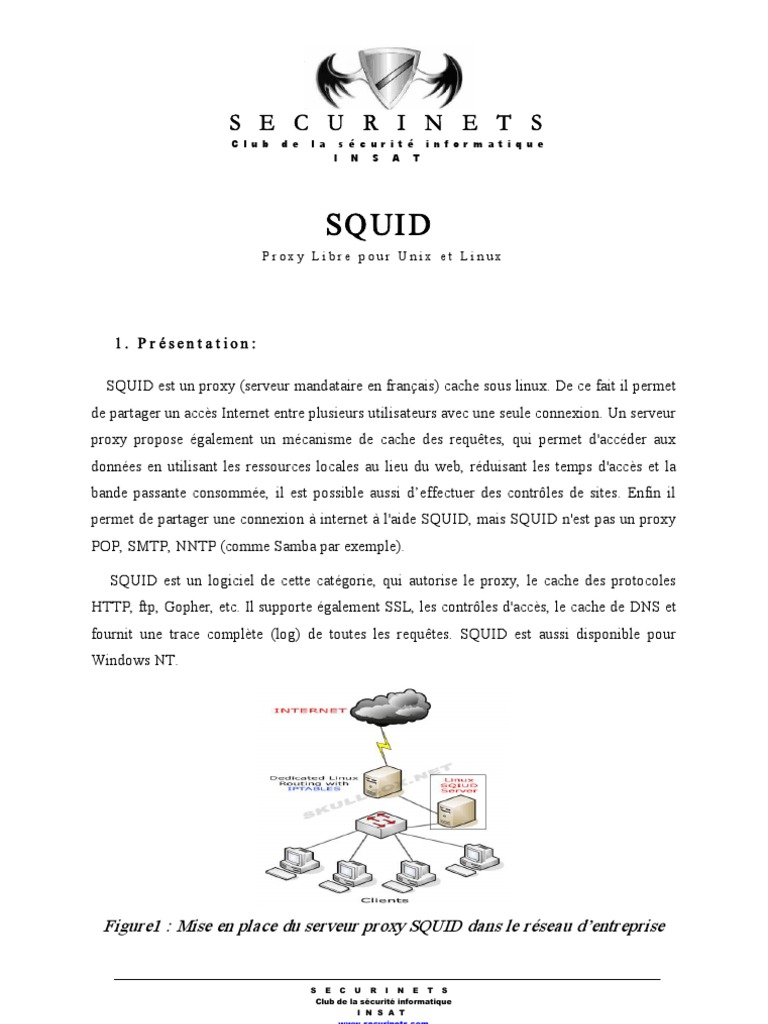 Squid | PDF