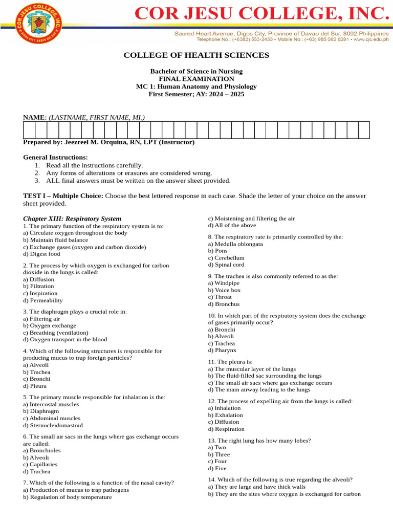 Human Anatomy Final Exam | PDF | Lung | Menstrual Cycle