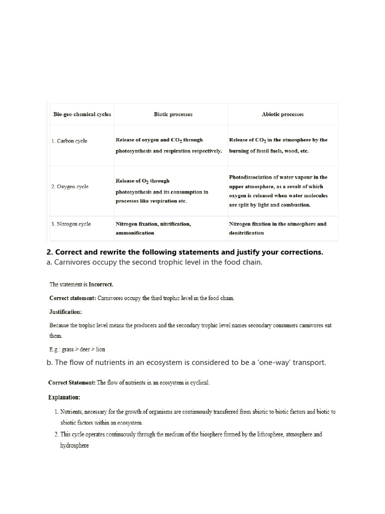 Energy Flow in Ecosystem | PDF | Ecosystem | Oxygen