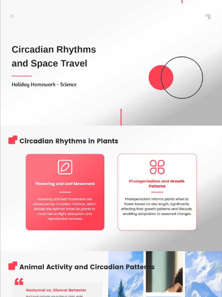 Circadian Rythms and Space Travel | PDF