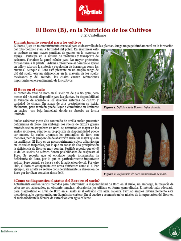Importancia del Boro en Cultivos Agrícolas | PDF | Boro | Suelo