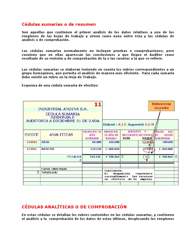 Cédulas sumarias o de resumen | Auditoría financiera | Contralor, auditor