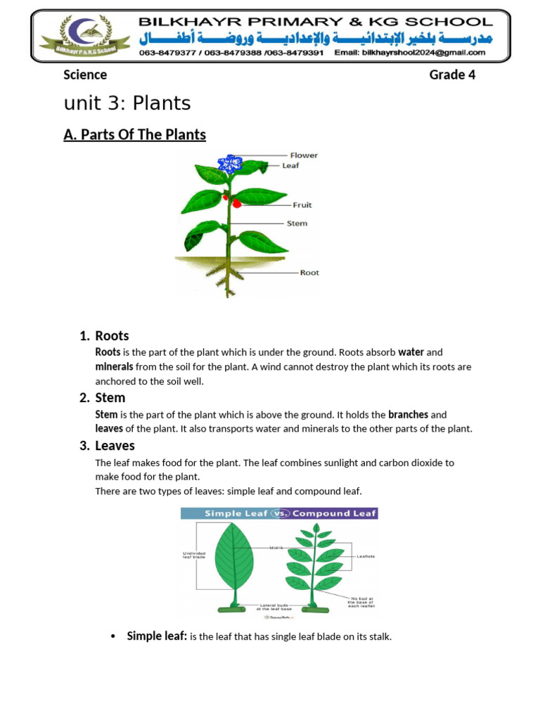 Class 4 Unit 3 | PDF