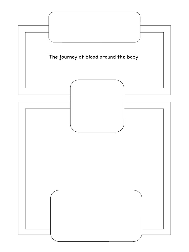 Journey of Blood Around The Body | PDF