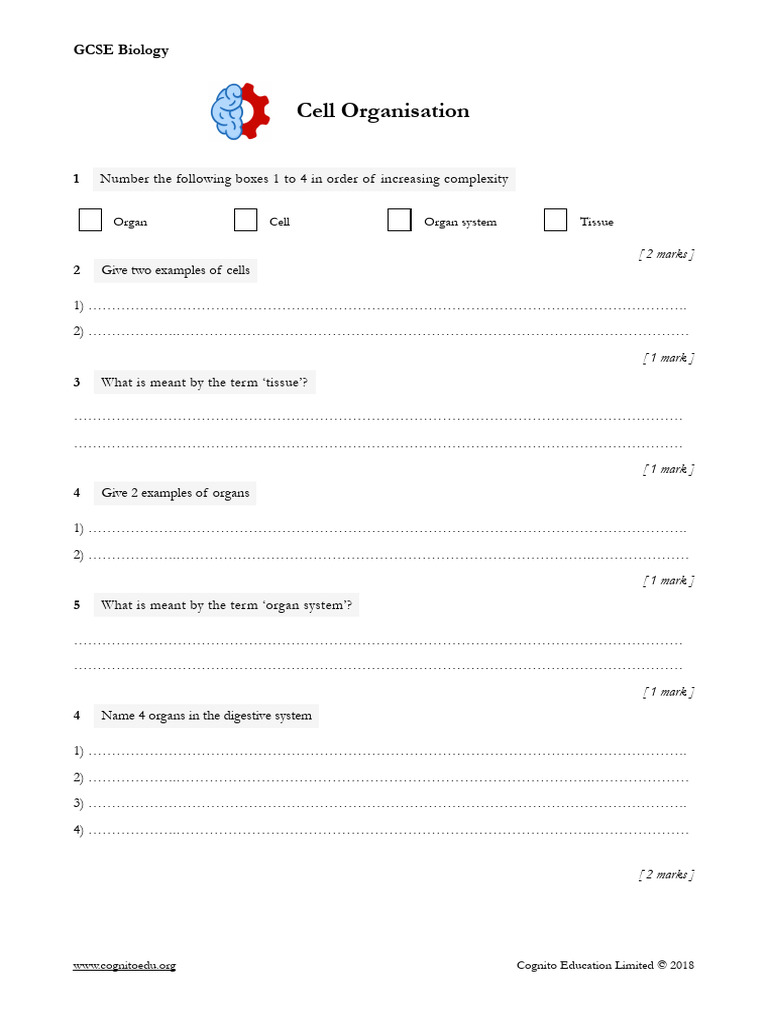 Cell Organisation Worksheet | PDF | Tissue (Biology) | Neuroscience