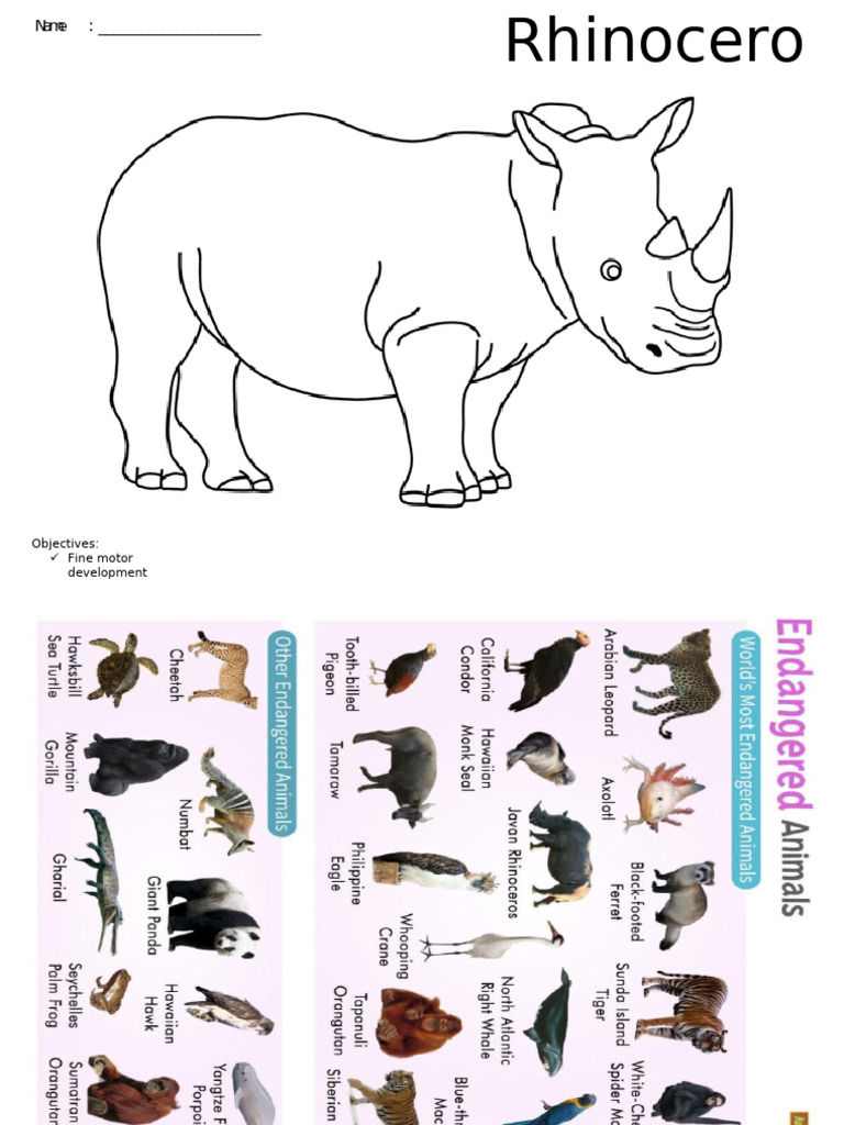 Rhinoceros Coloring Sheet | PDF