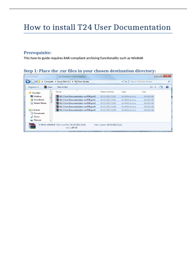 Install T24 User Documentation Guide | PDF