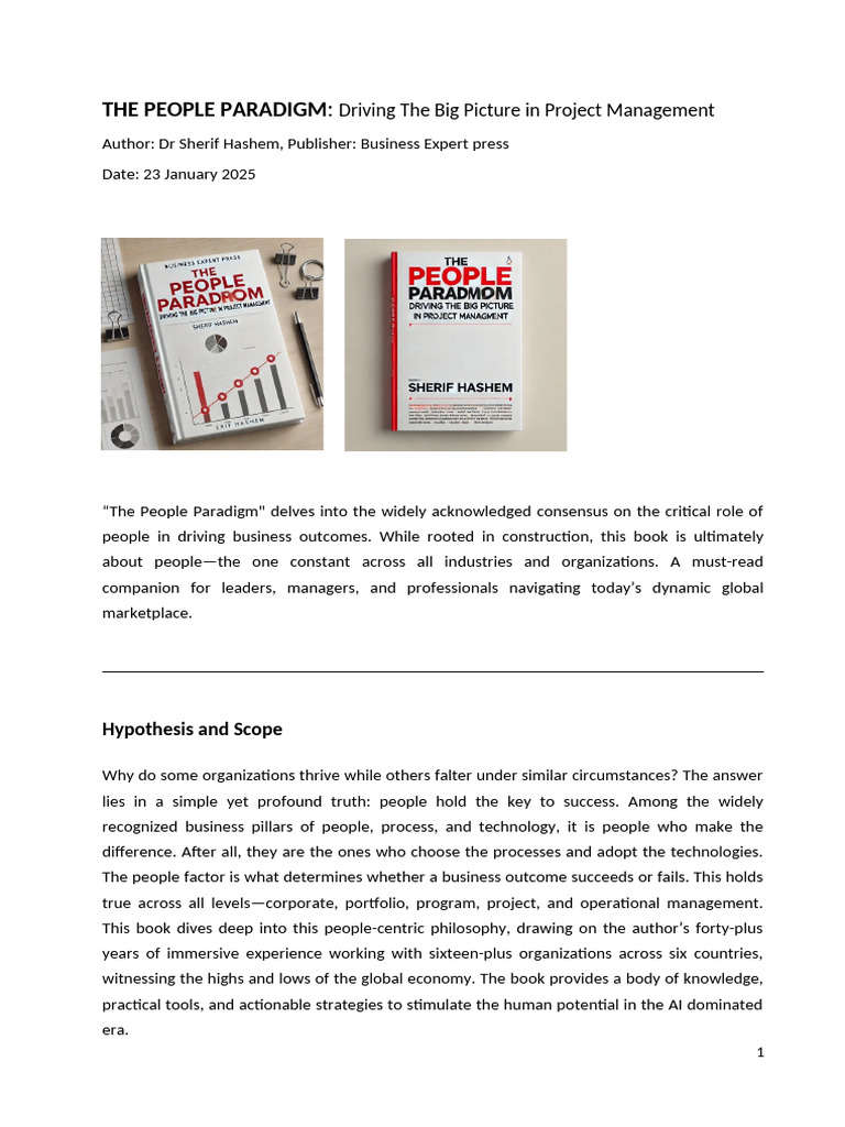 Hashem - The People Paradigm | PDF | Strategic Management | Governance