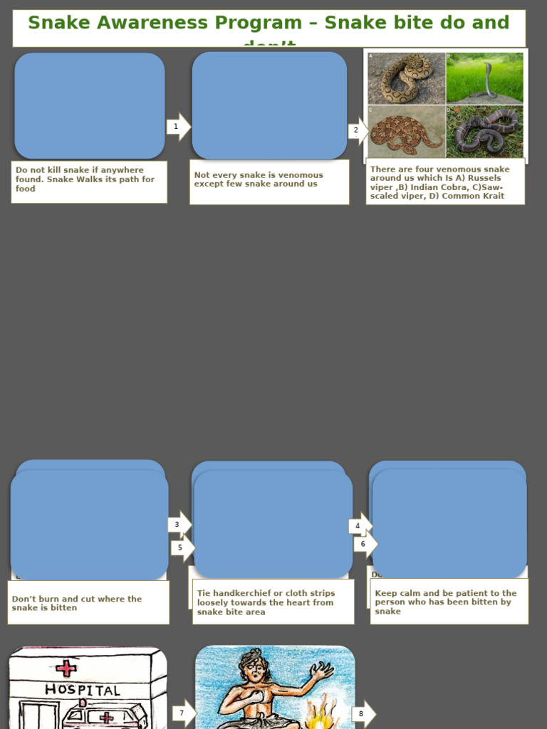 Snake Bite Awareness and Safety Tips | PDF
