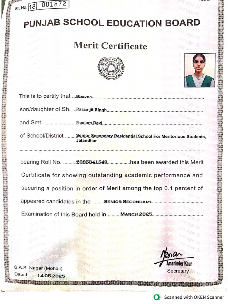 Merit Certificate 2025 | PDF