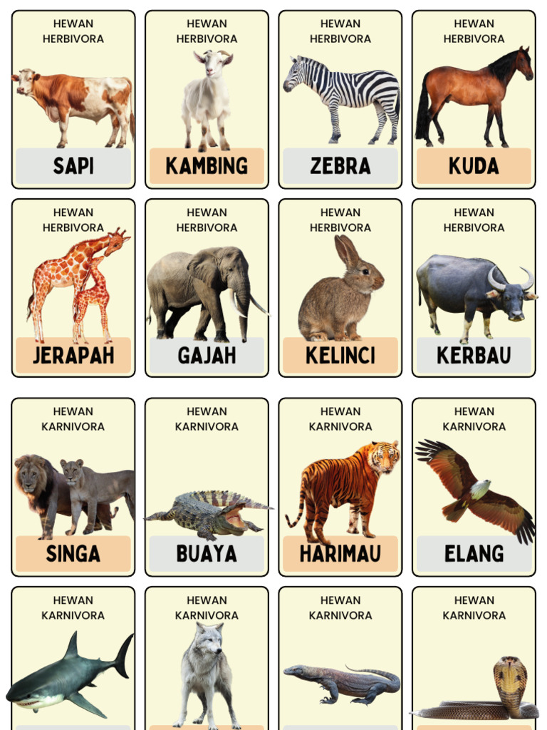 Kuning Krem Dan Hijau Sederhana Kartu Pengingat Golongan Hewan ...