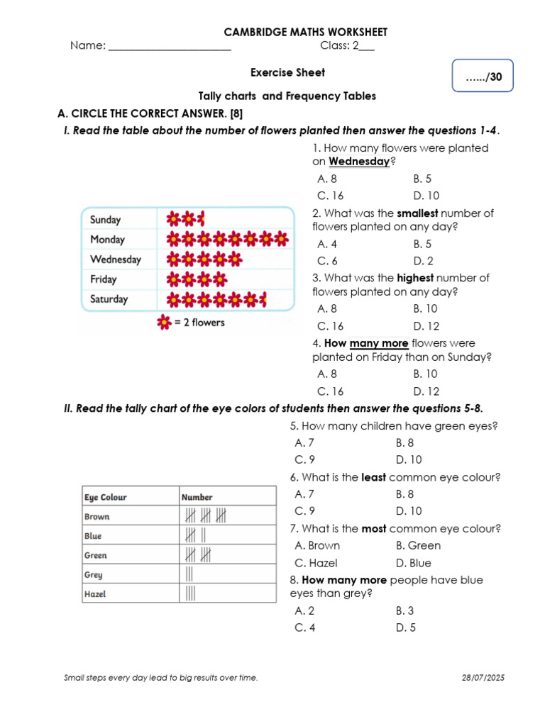 U2. Tally Chart and Frequency Table | PDF