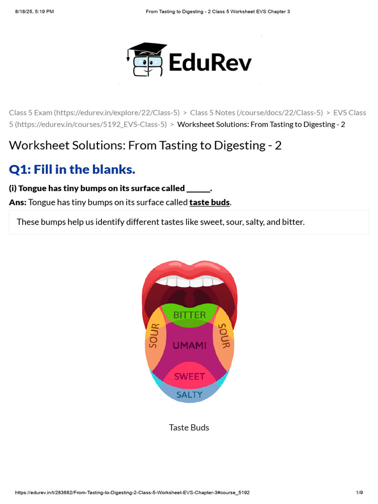 Class 5 EVS: Tasting to Digesting Worksheet | PDF | Taste | Foods