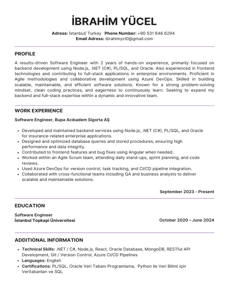 İbrahim Yucel CV | PDF
