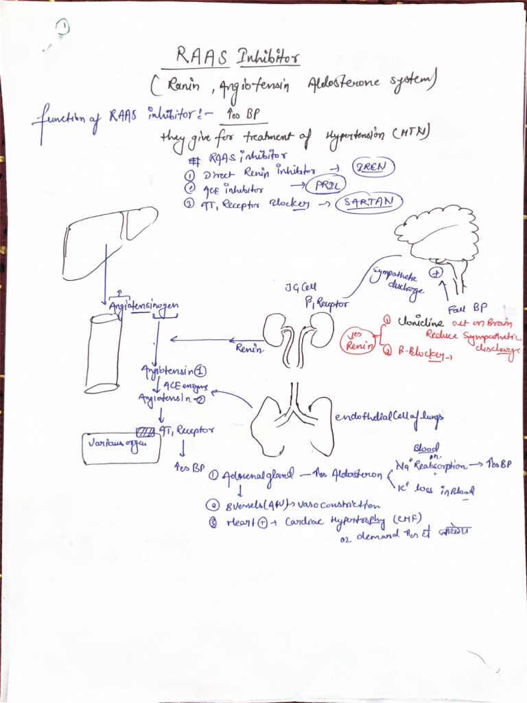 Raas Inhibitors Pharmacology | PDF