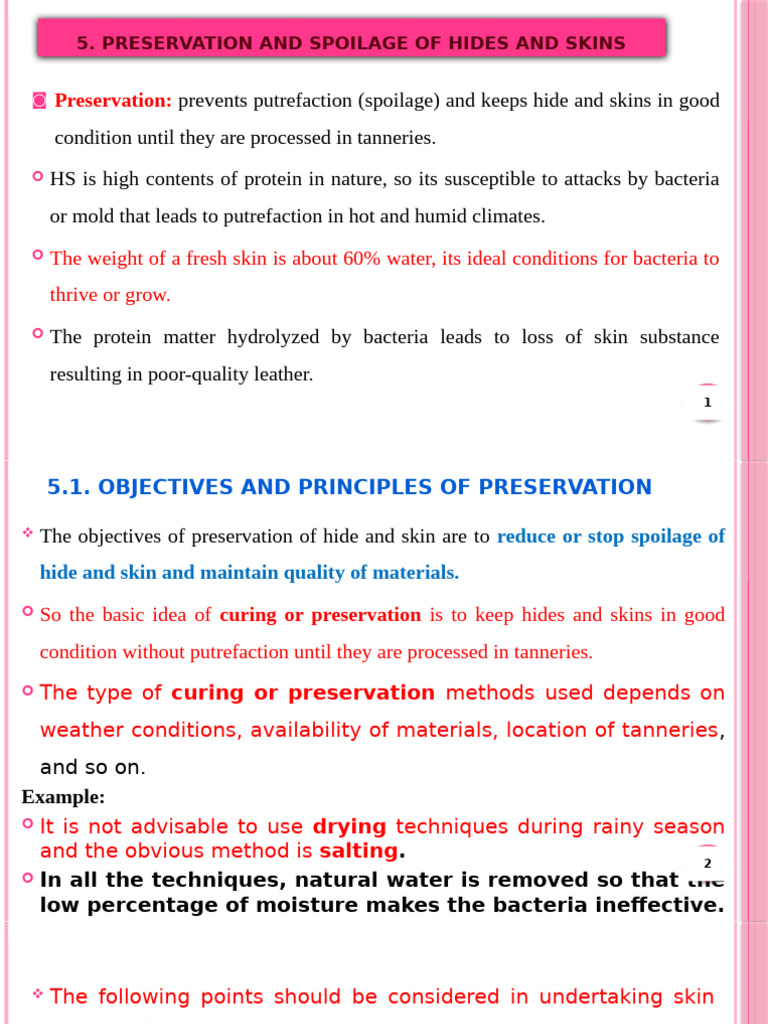Hide & Skin Ch-5 edited | PDF | Food Preservation | Decomposition