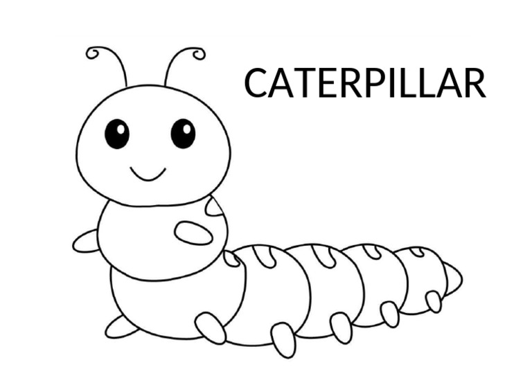 Caterpillar | PDF
