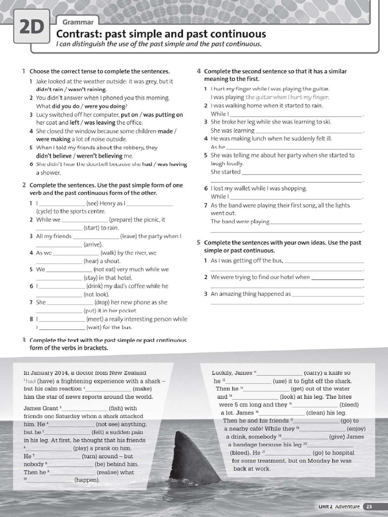 HW - Past Simple or Cont | PDF