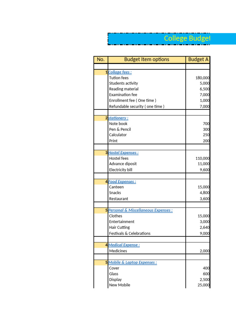 Collage Budget 2025-26 | PDF