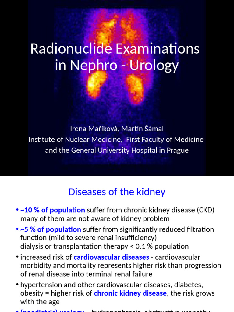 Nephro Urology No Audio | PDF | Kidney | Urinary System