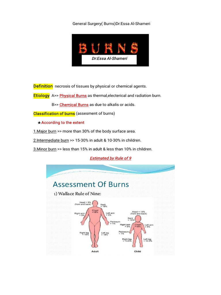 Burns | PDF