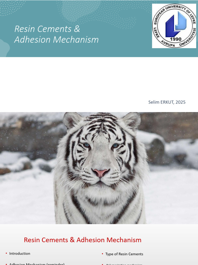 B Resin Cements and Adhesion Mechanism 2023 | PDF | Adhesion | Dental ...