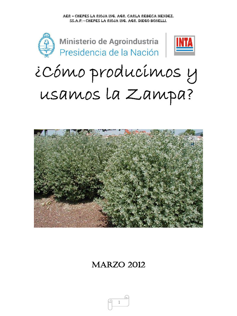 Inta Como Producimos y Utilizamos La Zampa 0 | PDF | Pasto | Plantas