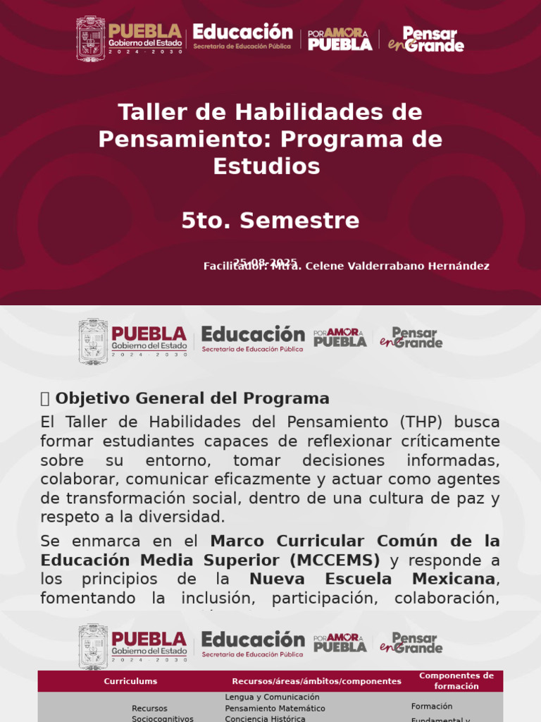 Presentacion - Programa Taller de Habilidades de Pensamiento 2025 | PDF | Plan de estudios ...