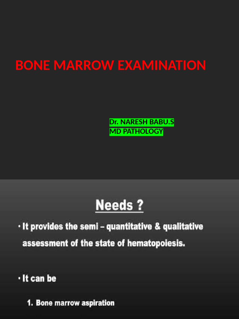 Bone Marrow | PDF