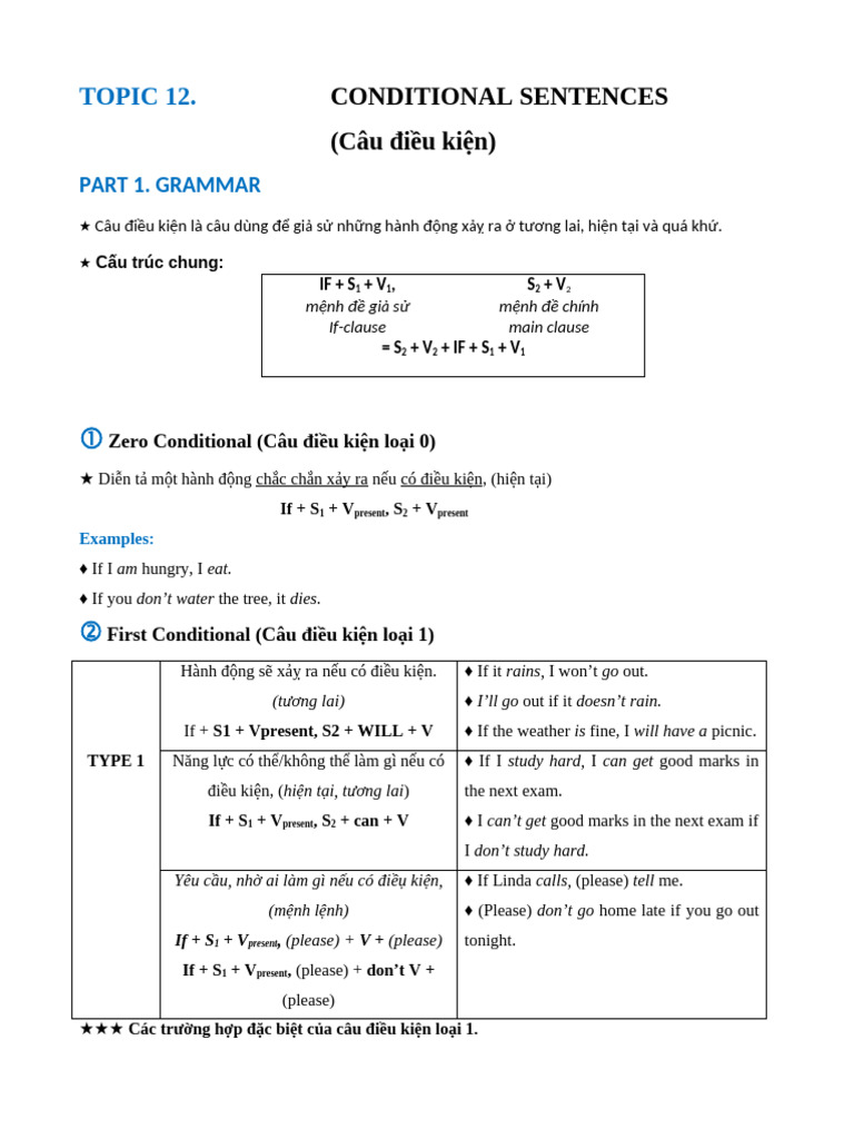 TOPIC 12 - CÂU ĐIỀU KIỆN | PDF