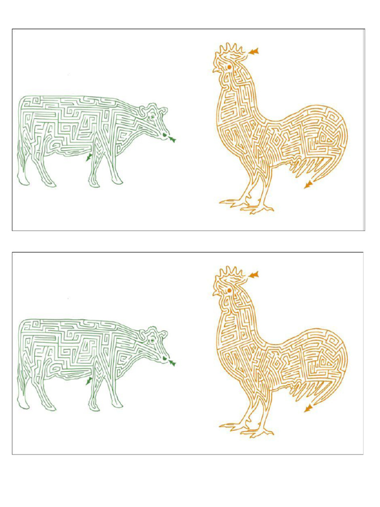 Mazes Cow Amd Rooster | PDF
