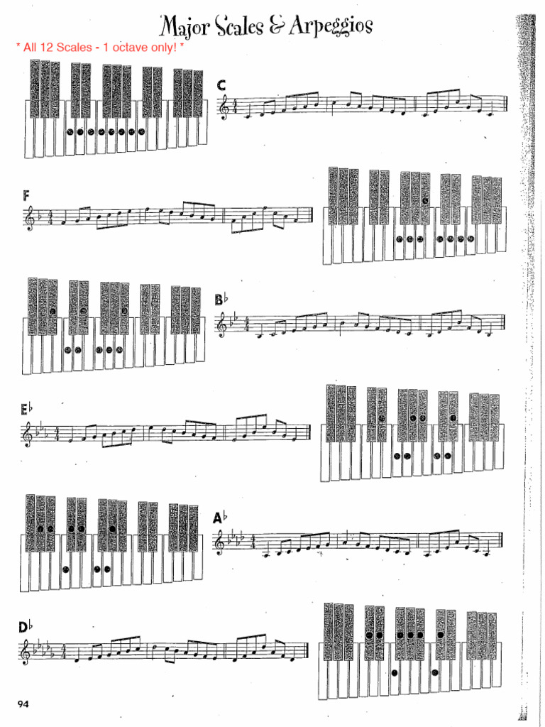 Percussion Major Scale Sheets | PDF