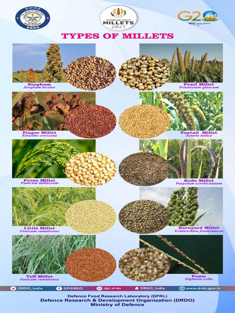 Millet Posters Final | PDF
