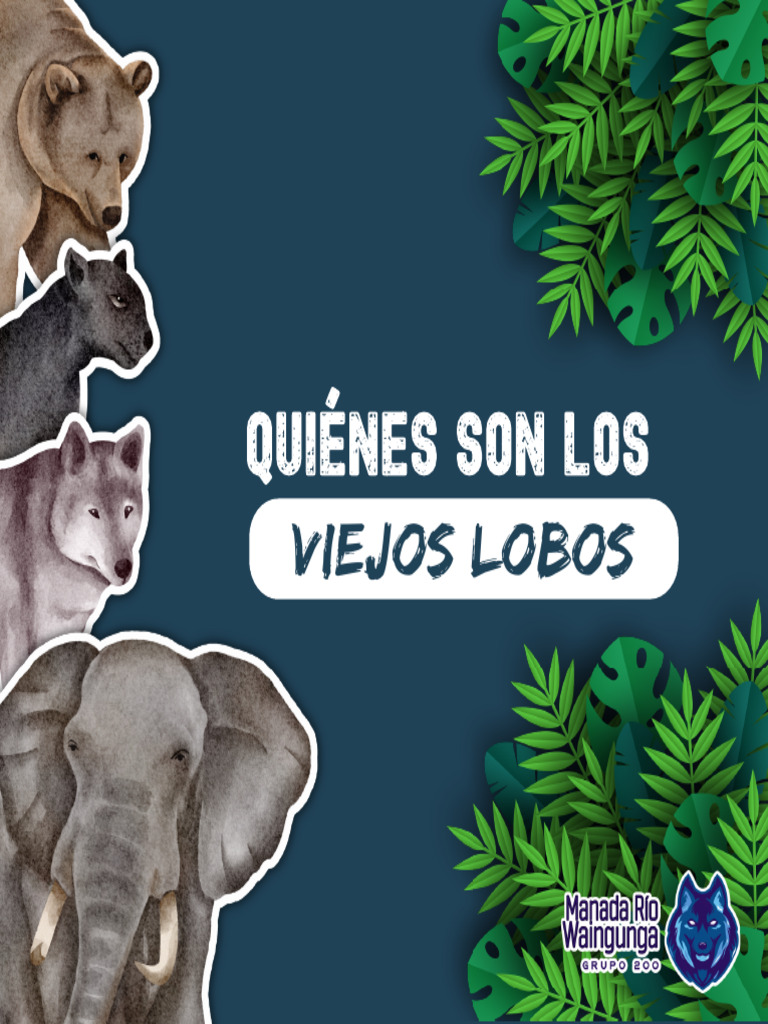 Viejos Lobos: Sabiduría en la Selva | PDF | Kaa | Bagheera