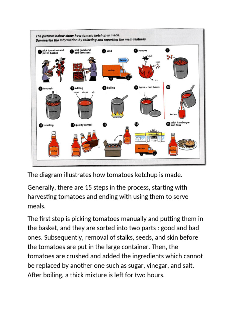 The Diagram Illustrates How Tomatoes Ketchup Is Made | PDF