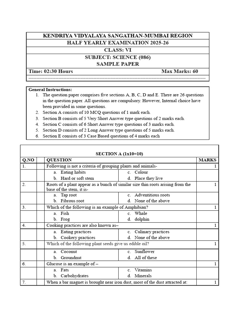 Class VI Science Sample Paper 2025-26 | PDF | Magnet | Length