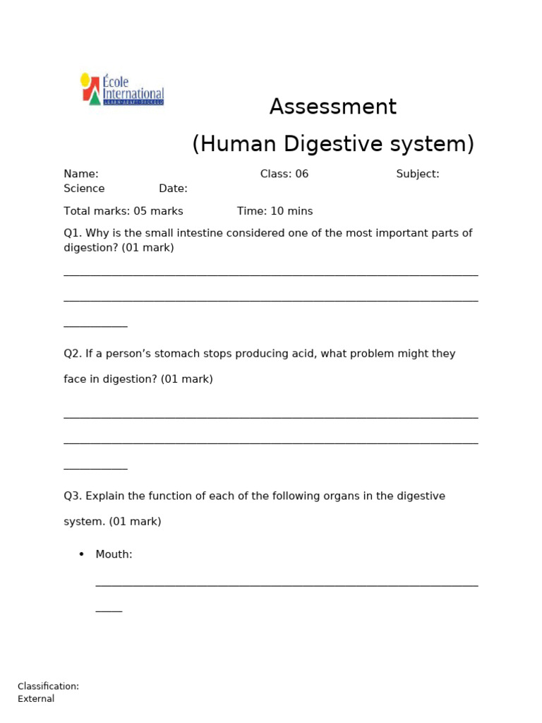 Assessment Class 6 Human Digestive System | PDF