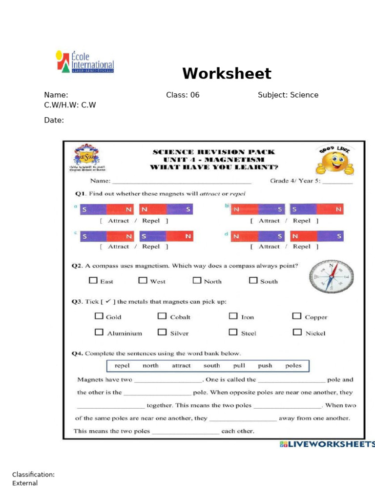 Science Worksheet Class 06 | PDF