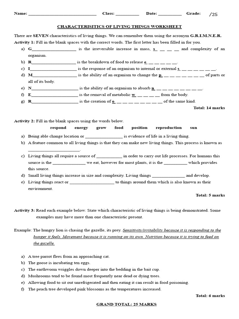 Characteristics of Living Things Worksheet | PDF | Foods | Zoology
