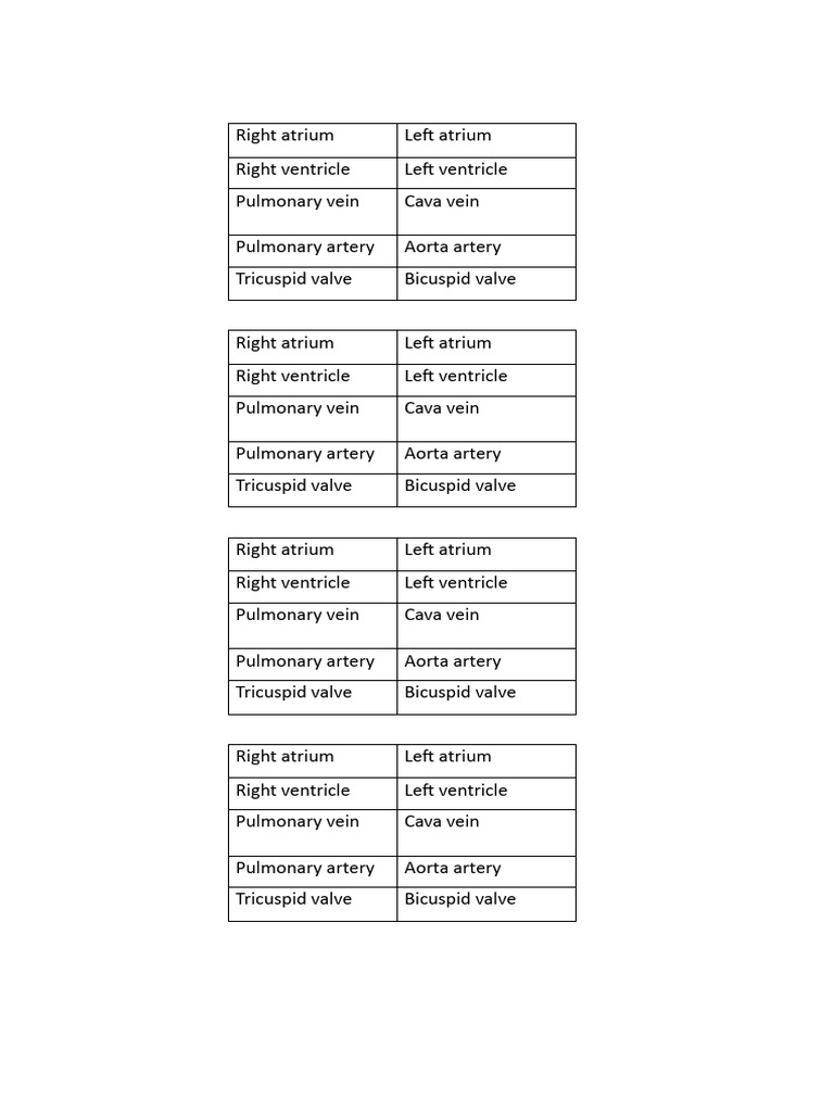 Labels Dissection | PDF