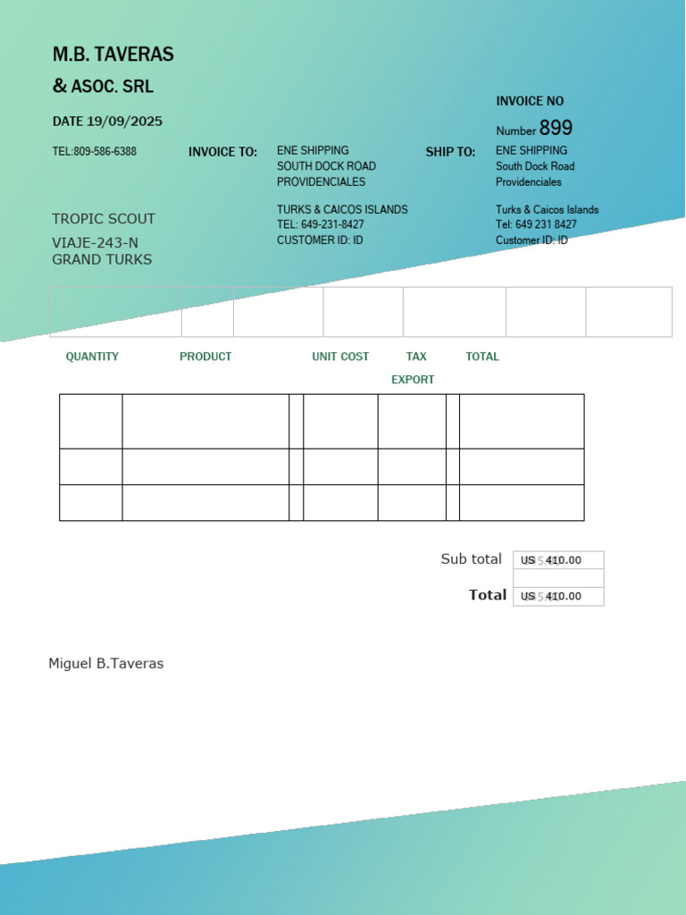 Invoice for Diesel Products - ENE Shipping | PDF