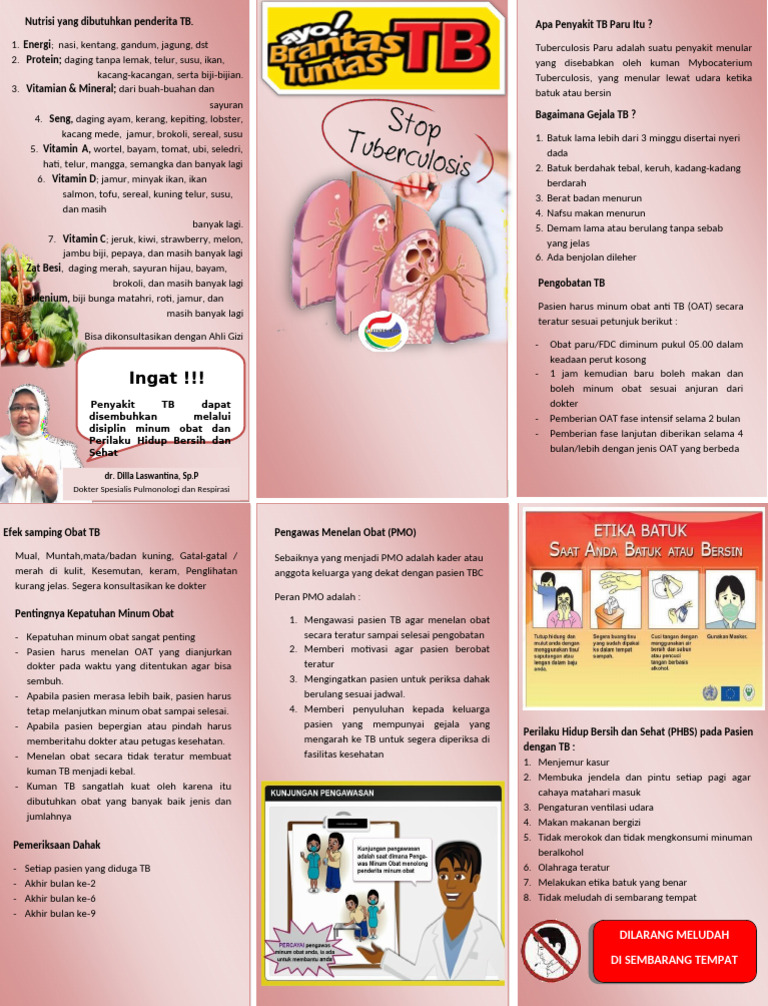 Leaflet TB Compress | PDF