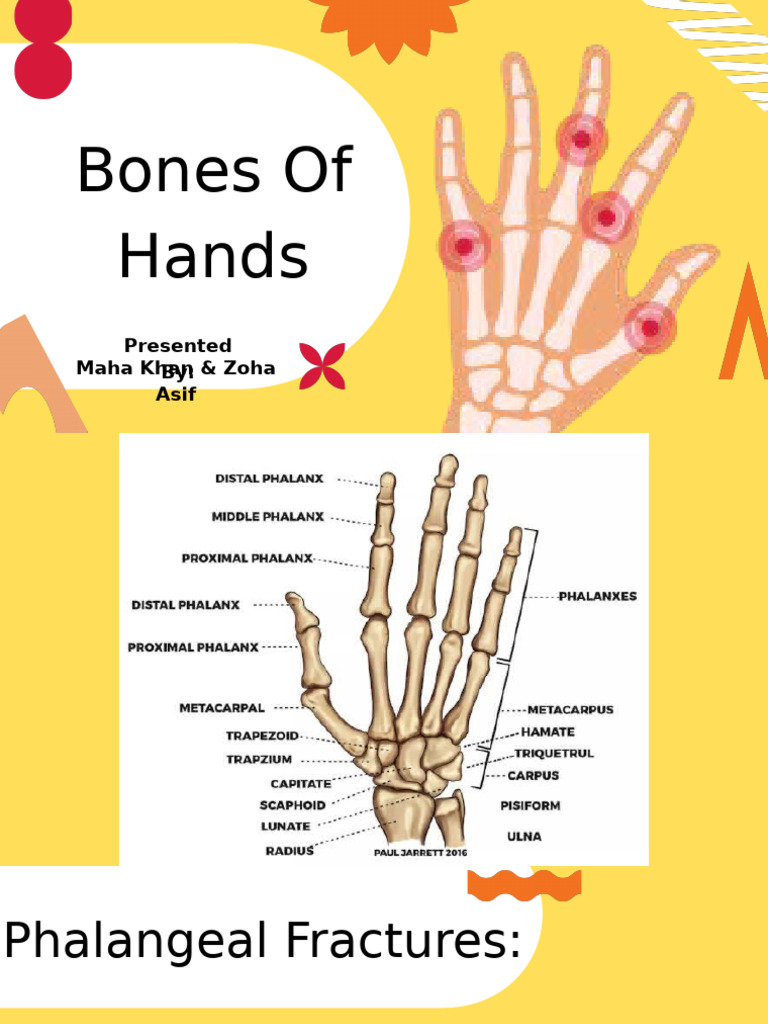 Bones of Hands by Maha and Zoha | PDF